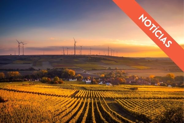 Anunciado, dia 3/11, na COP26, a formação do ISSB